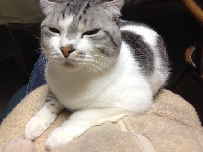 2025年です！: 戦闘詳報